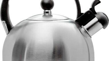 Gipfel International Whistling Tea Kettle Stovetop: Review - Stainless ...