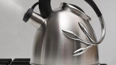 Gipfel International Whistling Tea Kettle Stovetop: Review - Stainless ...