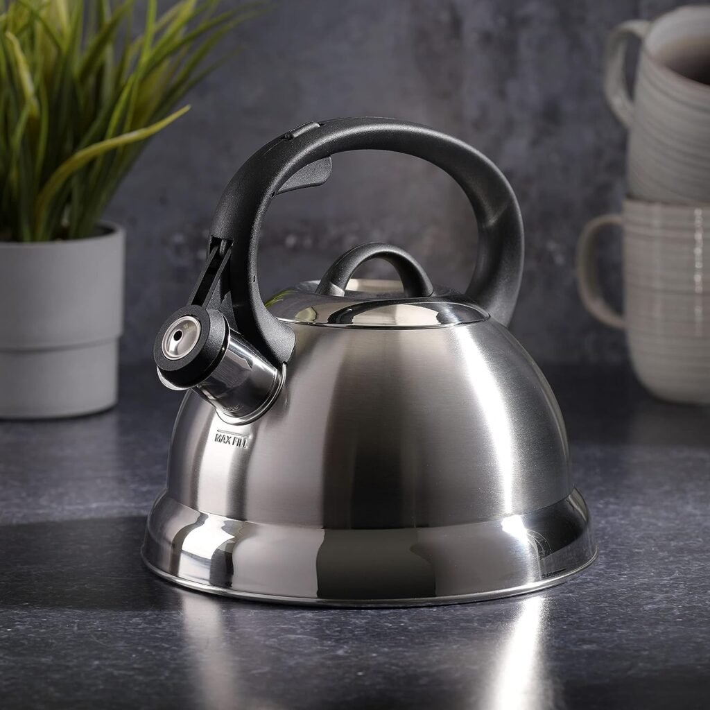 Mr. Coffee Whistling Tea Kettle Review - Stainless Steel Tea Kettles